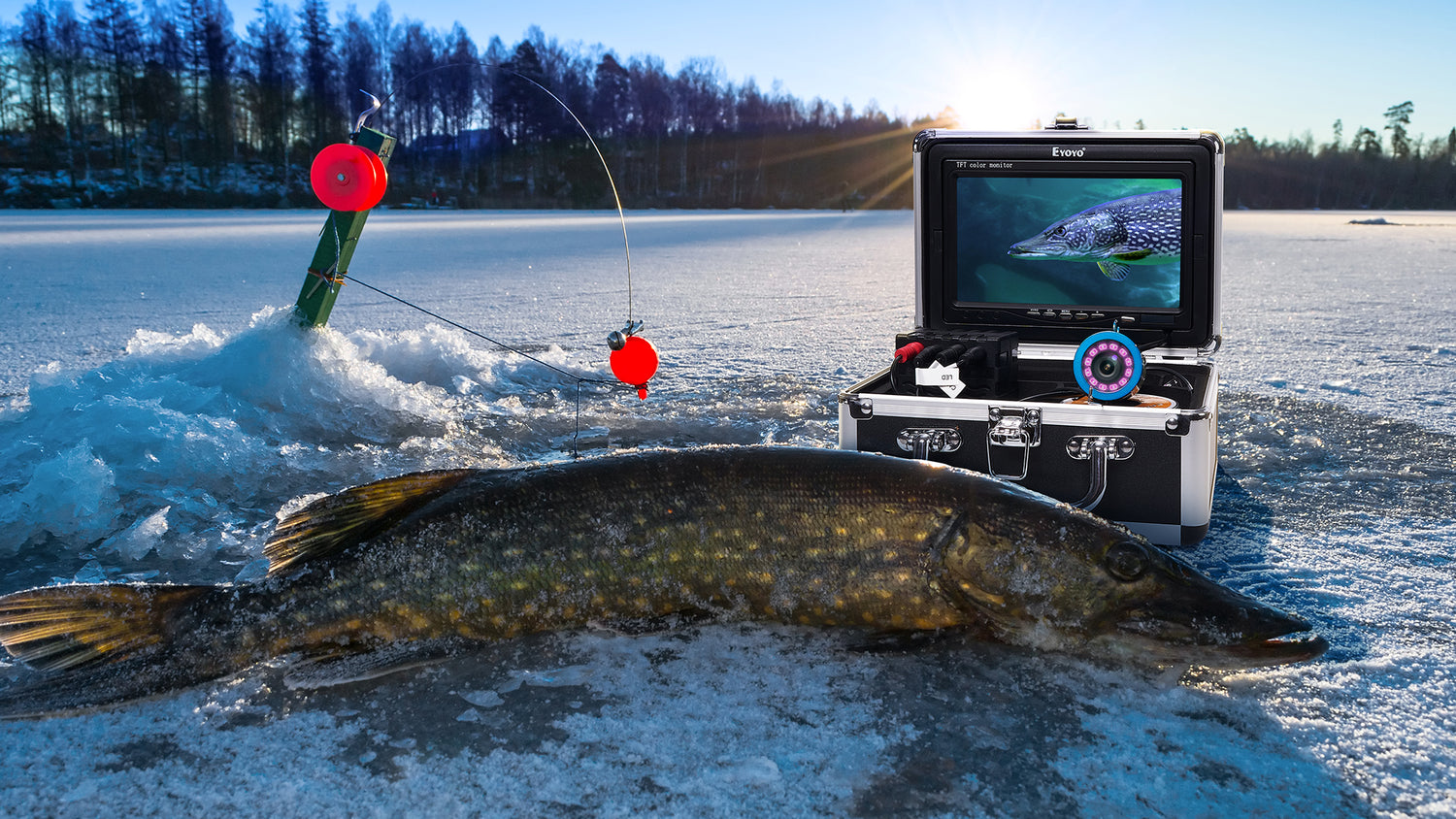 Explore the Depths, Capture the Moments | Eyoyo Fishing Cameras